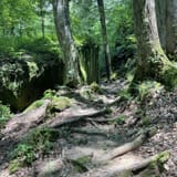 Natural Bridge Park Loop, Alabama - 260 Reviews, Map | AllTrails