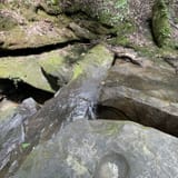 Natural Bridge Park Loop, Alabama - 260 Reviews, Map | AllTrails