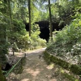 Natural Bridge Park Loop, Alabama - 260 Reviews, Map | AllTrails