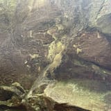 Natural Bridge Park Loop, Alabama - 260 Reviews, Map | AllTrails