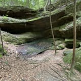 Natural Bridge Park Loop, Alabama - 260 Reviews, Map | AllTrails