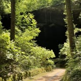 Natural Bridge Park Loop, Alabama - 271 Reviews, Map | AllTrails