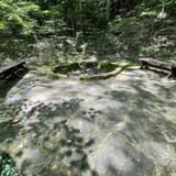 Natural Bridge Park Loop, Alabama - 302 Reviews, Map | AllTrails