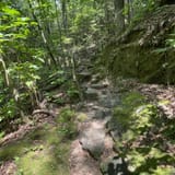 Natural Bridge Park Loop, Alabama - 271 Reviews, Map | AllTrails