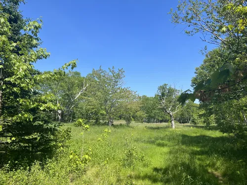 Best Hikes and Trails in French River Wilderness Area | AllTrails