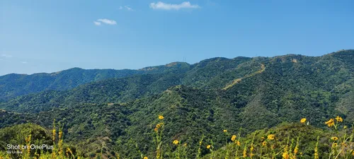 2023 Best Forest Trails in La Crescenta | AllTrails