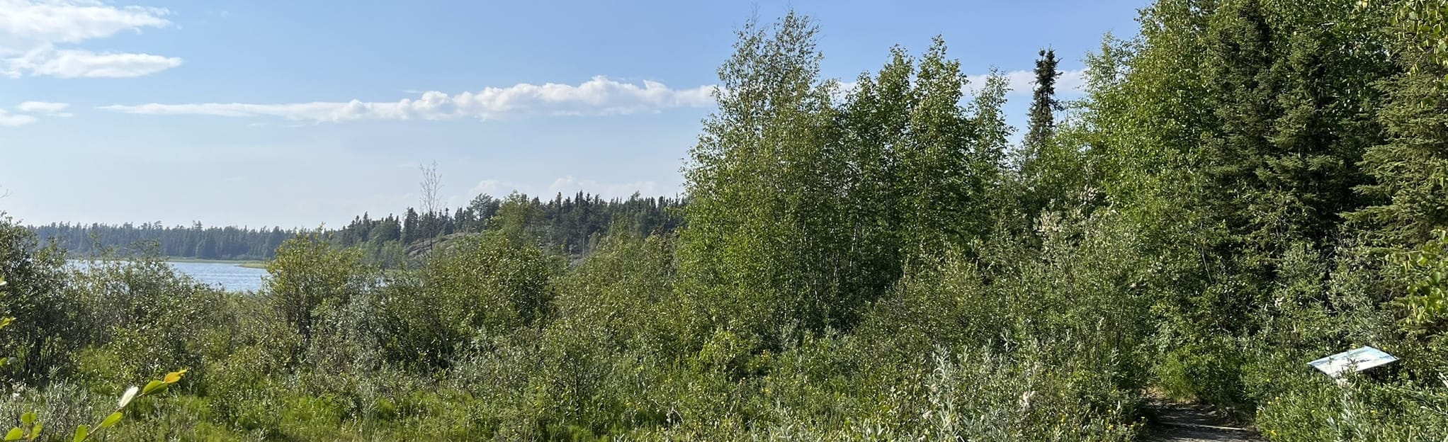 AllTrails | Frame Lake Connector: 7 Reviews, Map - Northwest ...