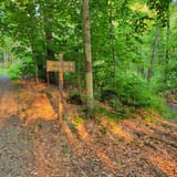 Butternut Trail, Pennsylvania - 199 Reviews, Map | AllTrails