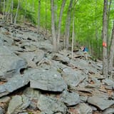 Butternut Trail, Pennsylvania - 199 Reviews, Map | AllTrails