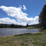Sagehen Creek Loop, California - 852 Reviews, Map | AllTrails