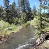 Sagehen Creek Loop, California - 852 Reviews, Map | AllTrails