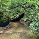 Dismals Canyon, Alabama - 278 Reviews, Map | AllTrails