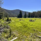 East Inlet Trail, Colorado - 1,217 Reviews, Map | AllTrails