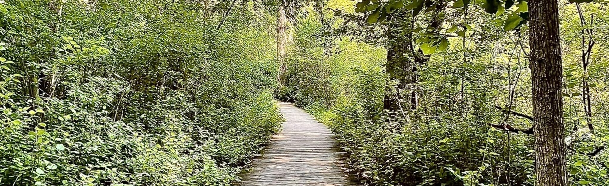 Valley Trail from Nature Center, Wisconsin - 31 Reviews, Map | AllTrails