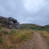 Gerbode Valley Loop, California - 490 Reviews, Map | AllTrails