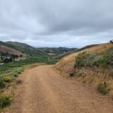Gerbode Valley Loop, California - 490 Reviews, Map | AllTrails