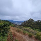 Gerbode Valley Loop, California - 490 Reviews, Map | AllTrails