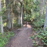 Robin Hill Park, Washington - 338 Reviews, Map | AllTrails