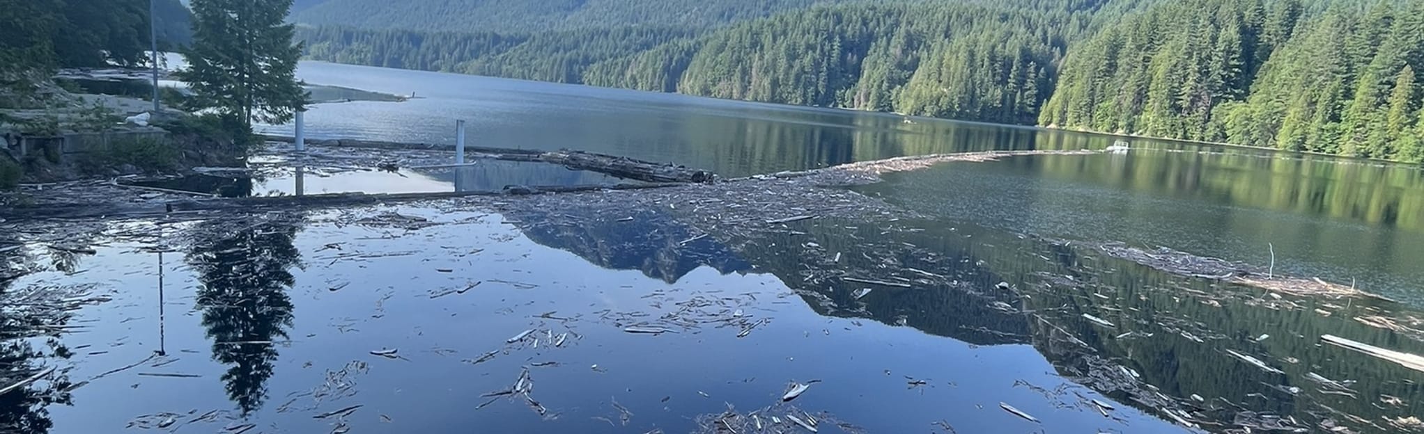 Cleveland Dam and Capilano Lake Lookout: 818 fotos - Columbia Británica ...
