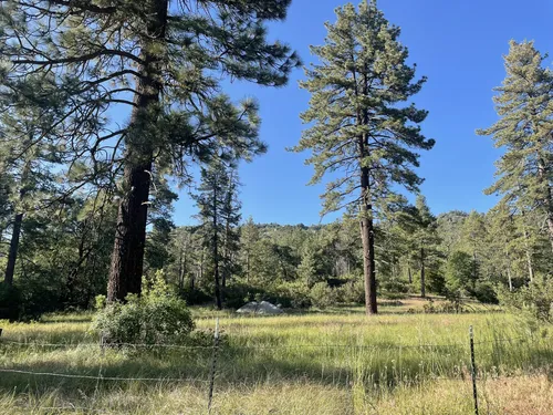 Best Hikes and Trails in Idyllwild | AllTrails