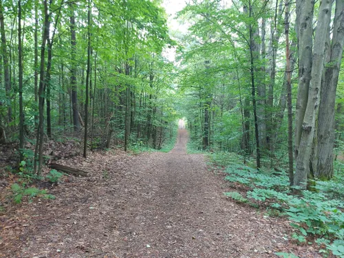 10 Best Hikes and Trails in Durham Regional Forest | AllTrails