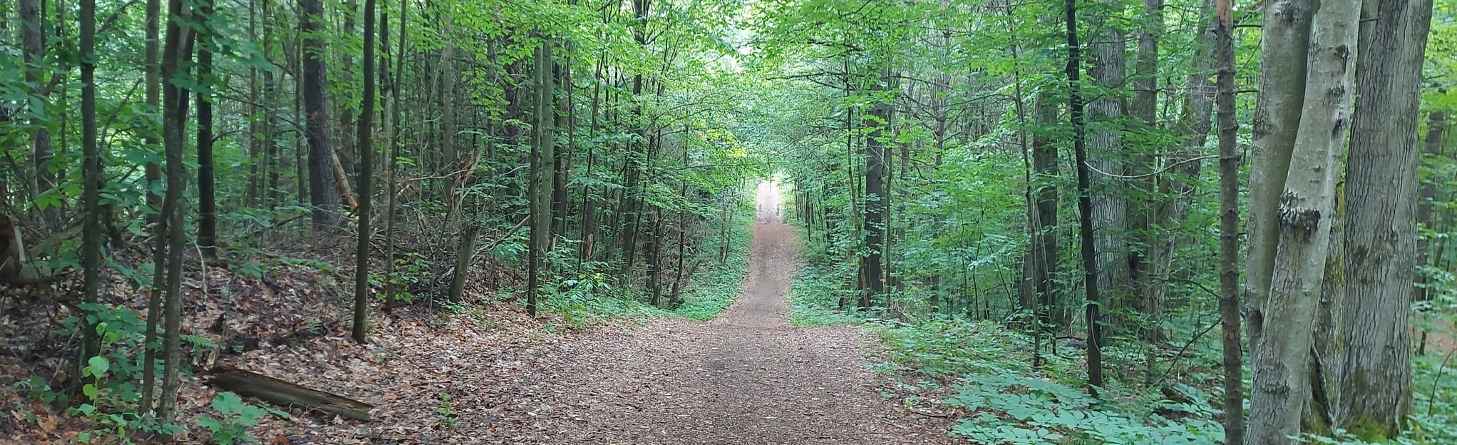 Red Oak Trail - The Maze - Ogre and Out - White Pine Trail: 514 Fotos ...