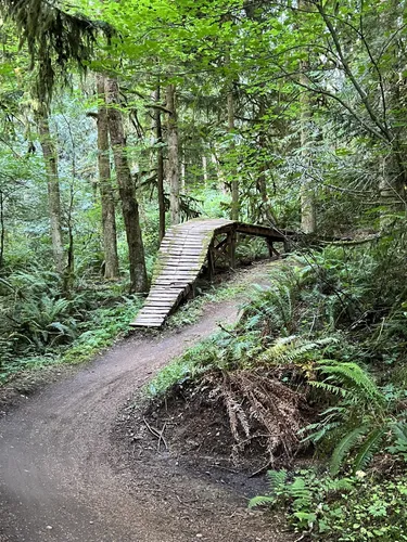 Best Hikes and Trails in Duthie Hill Park | AllTrails