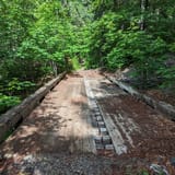 Dosewallips River Road Trail, Washington - 566 Reviews, Map | AllTrails