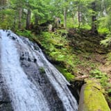 Cora Lake Trail, Washington - 232 Reviews, Map | AllTrails