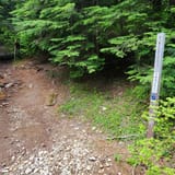 Cora Lake Trail, Washington - 232 Reviews, Map | AllTrails