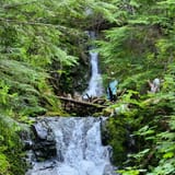 Cora Lake Trail, Washington - 232 Reviews, Map | AllTrails