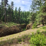 Boulder Cave Trail, Washington - 192 Reviews, Map | AllTrails