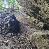 Boulder Cave Trail, Washington - 192 Reviews, Map | AllTrails