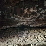 Boulder Cave Trail, Washington - 192 Reviews, Map | AllTrails