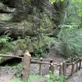 Dismals Canyon, Alabama - 278 Reviews, Map | AllTrails