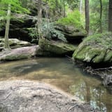 Dismals Canyon, Alabama - 278 Reviews, Map | AllTrails