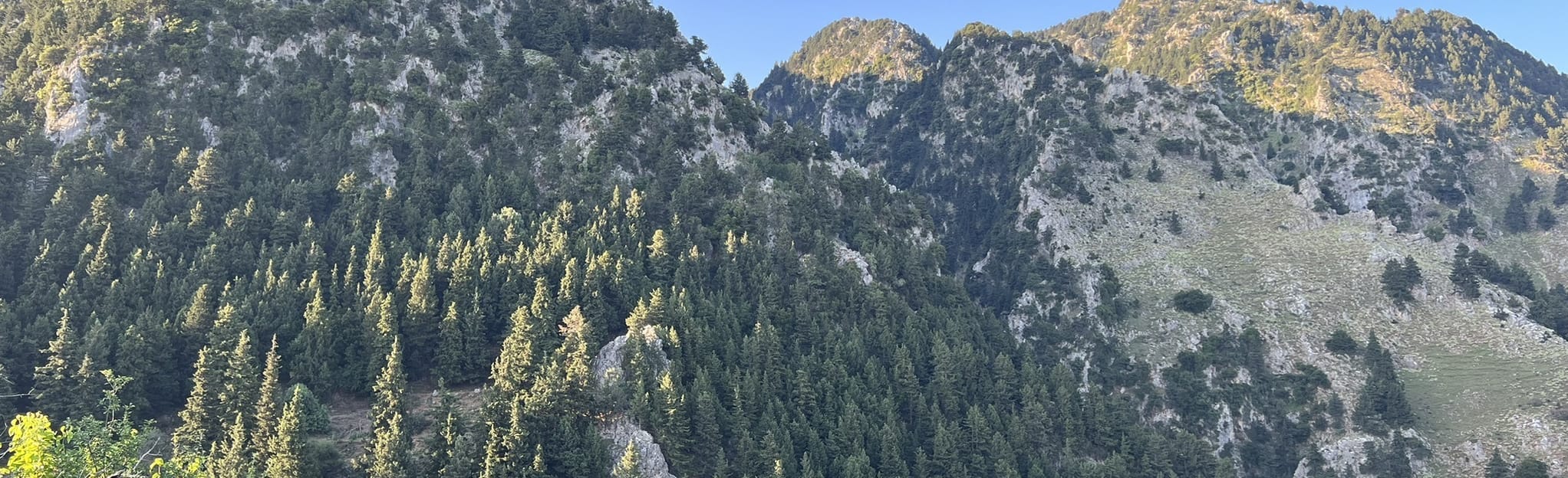 Lakki - Vrissi Gorge - Zourva: 11 foto's - Kreta, Griekenland | AllTrails