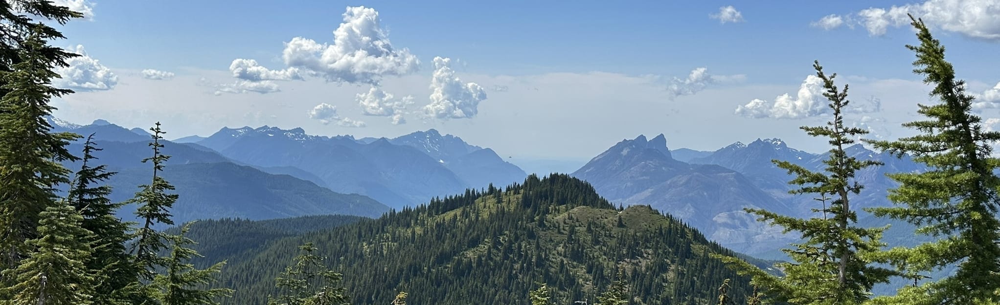 Mount Sawyer via Tonga Ridge Trail: 303 Reviews, Map - Washington ...