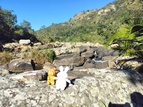 Best Hikes and Trails in Oribi Gorge Nature Reserve | AllTrails