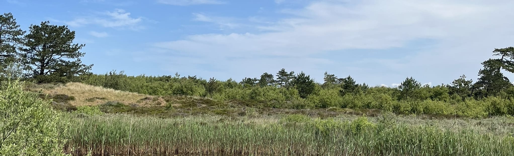 Rømø Trail - Red Trail: 30 Reviews, Map - Region of Southern Denmark ...