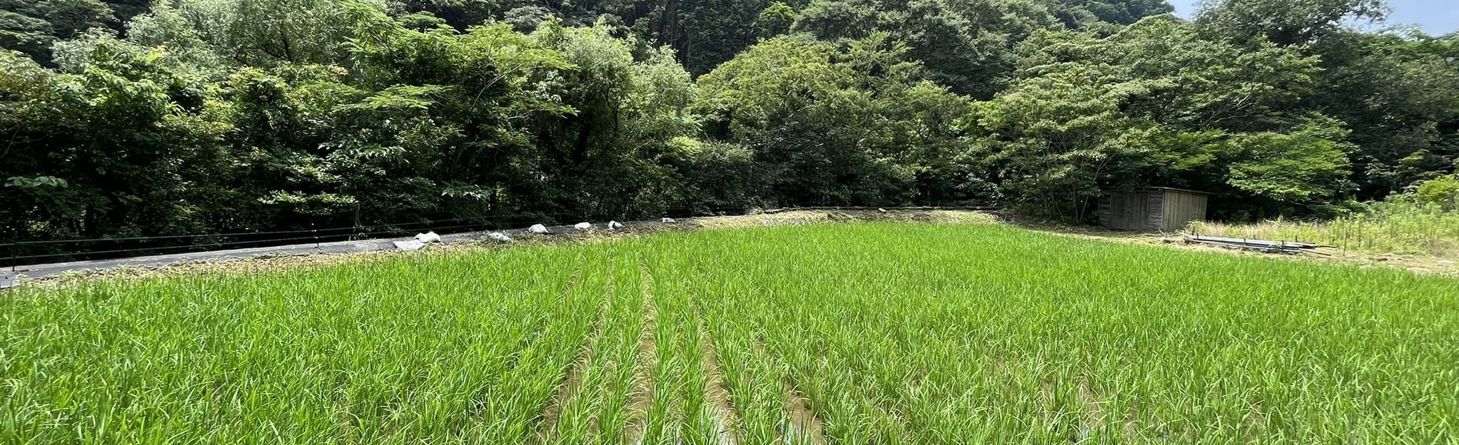 Yumigahama Beach - Toji Beach Loop: 1 Reviews, Map - Shizuoka, Japan ...