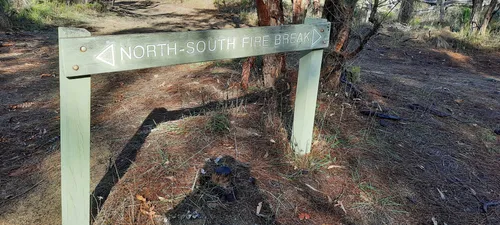 Best Hikes and Trails in Paganoni Swamp Reserve | AllTrails