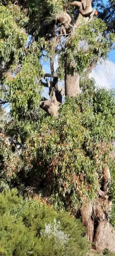 Best Hikes and Trails in Paganoni Swamp Reserve | AllTrails