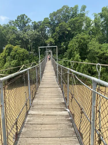 10 Best Hikes and Trails in Mount Palay - Palay National Park | AllTrails