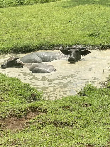 Best 10 Hiking Trails in Mount Palay - Palay National Park | AllTrails