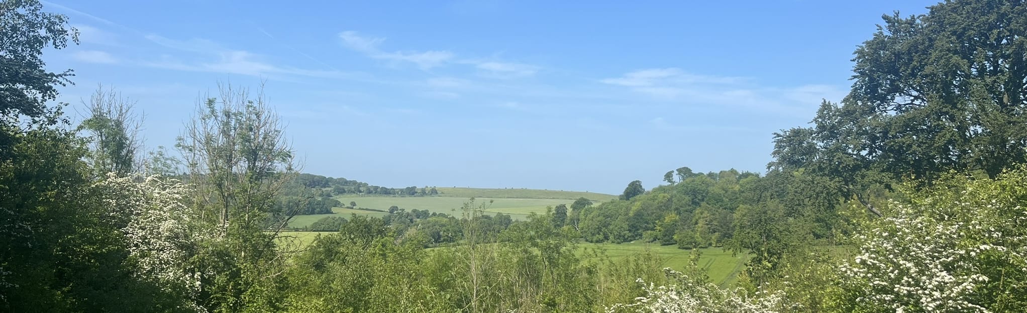 Bridgewater Monument to Pitstone Windmill Circular Walk: 257 Fotos ...