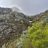 Paradyskloof Waterfall, Western Cape, South Africa - 680 Reviews, Map ...