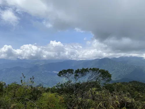 2023 Best 10 Wild Flowers Trails in Kampung Kepayang | AllTrails