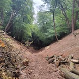 The Hurtwood and Winterfold Hill, Surrey, England - 63 Reviews, Map ...