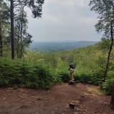 The Hurtwood and Winterfold Hill, Surrey, England - 63 Reviews, Map ...